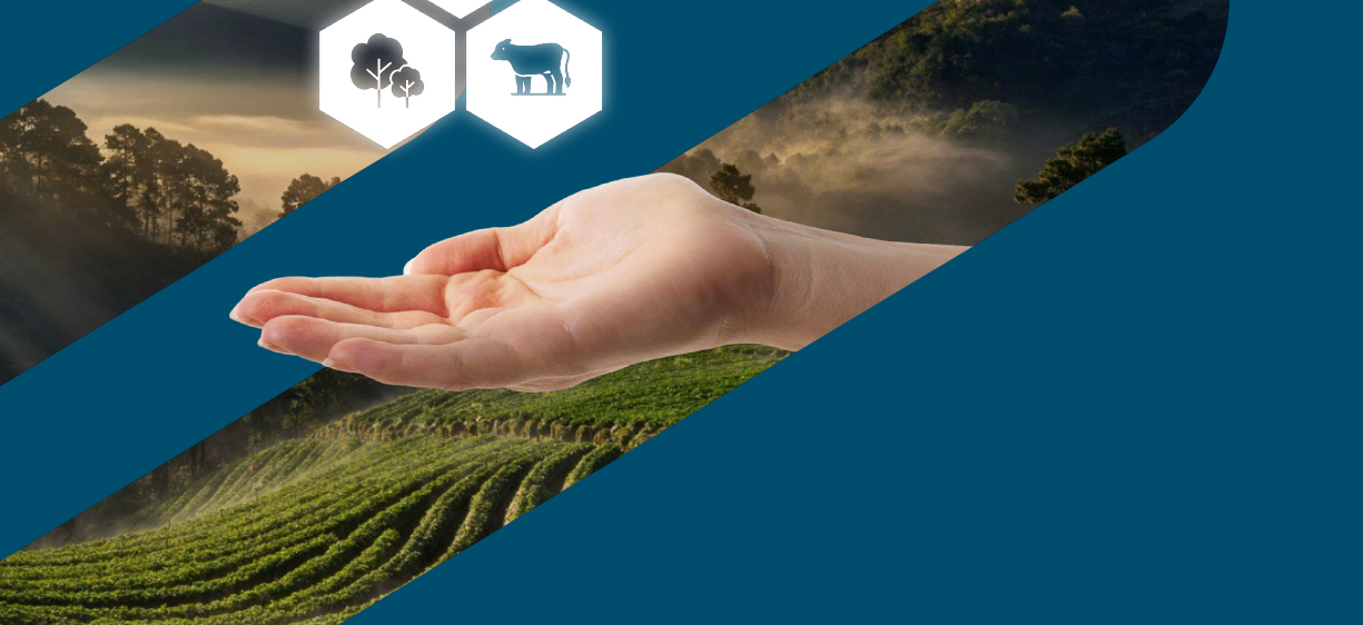 One health: A key concept at the heart of Pollutec - Pollutec Learn & Connect